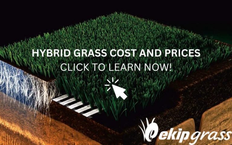 Comprehensive Guide: What is Hybrid Grass Turf? - Ekip Grass